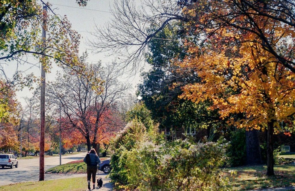 Lawrence Park North & South - Ryan Roberts